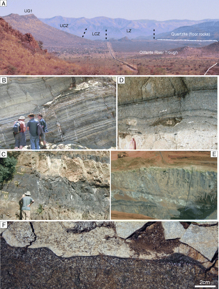 The Bushveld Complex, South Africa: formation of platinum–palladium ...