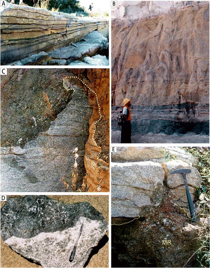 The Bushveld Complex, South Africa: formation of platinum–palladium ...
