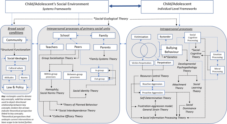 Why do children and adolescents bully their peers? A critical review of ...