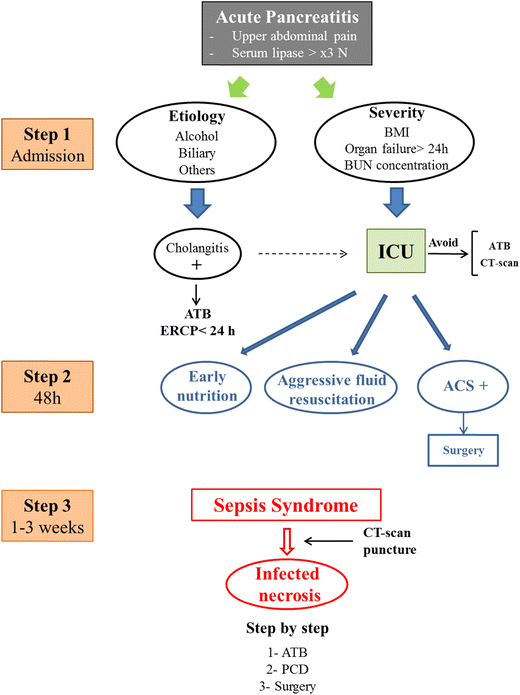 What’s new in the management of severe acute pancreatitis? | SpringerLink