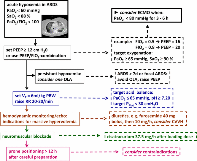 The standard of care of patients with ARDS: ventilatory settings and ...
