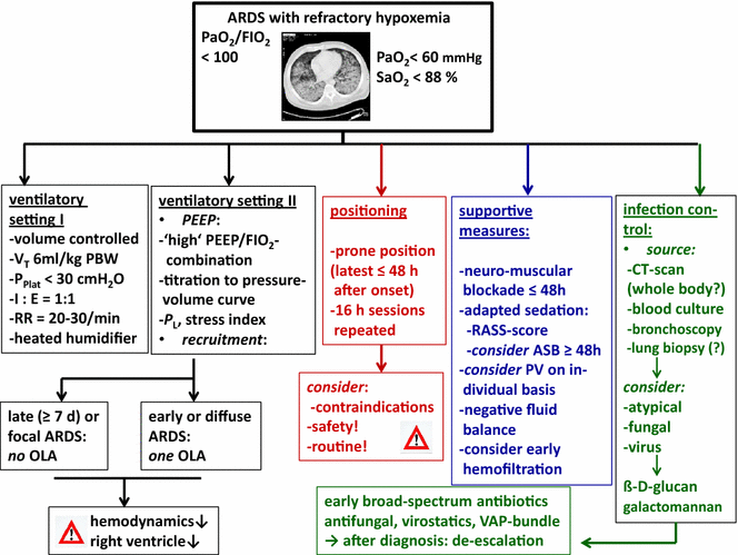 The standard of care of patients with ARDS: ventilatory settings and ...