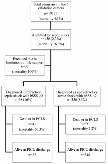 Refractory septic shock in children: a European Society of Paediatric ...