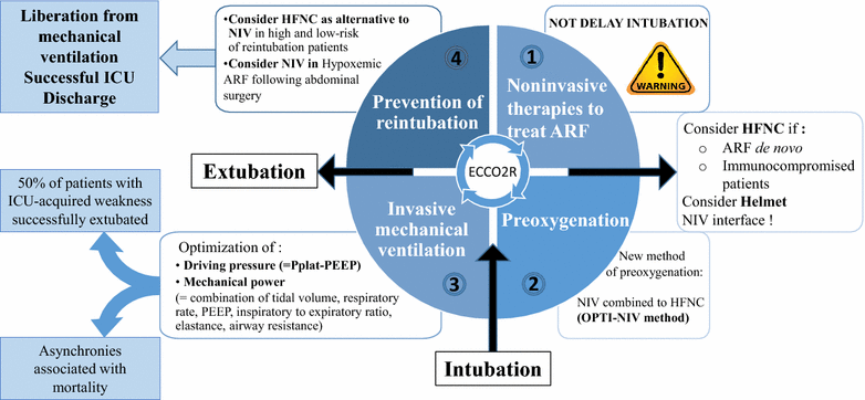 Focus on ventilation and airway management in the ICU | SpringerLink