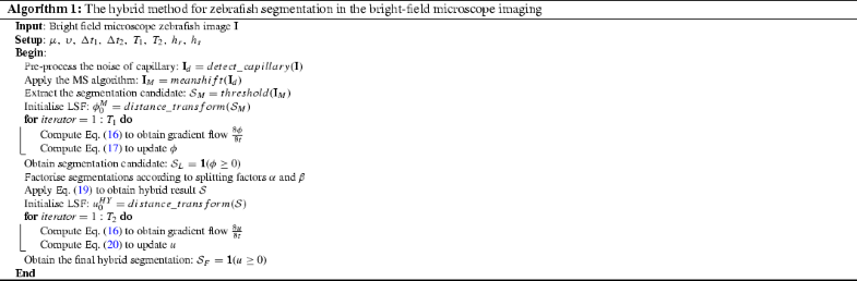 An efficient and robust hybrid method for segmentation of zebrafish objects from bright-field ...