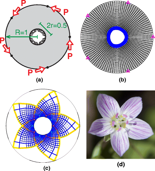 GRAND — Ground structure based topology optimization for arbitrary 2D ...