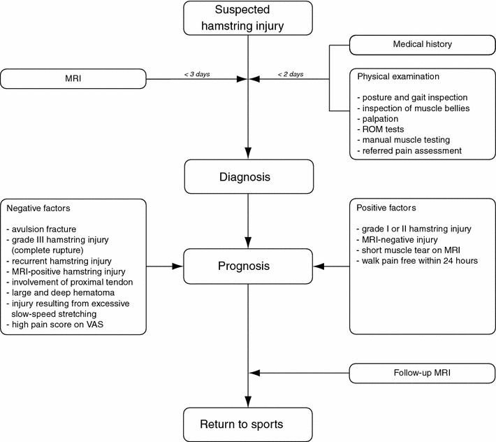 Diagnosis and prognosis of acute hamstring injuries in athletes ...