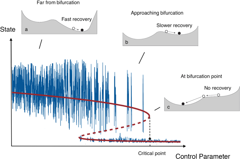 Critical slowing down as an early warning signal for financial crises ...