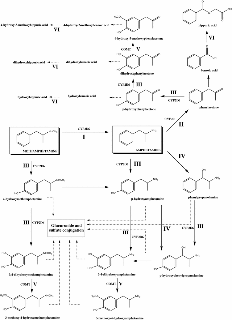 Toxicity of amphetamines: an update | SpringerLink