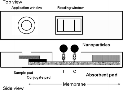 Lateral flow (immuno)assay: its strengths, weaknesses, opportunities ...