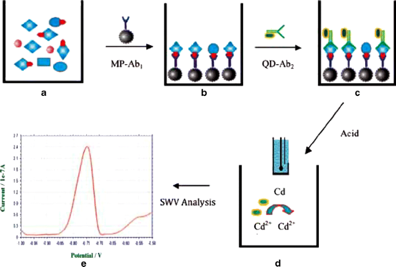 Magnetic microbead-based electrochemical immunoassays | SpringerLink