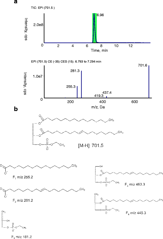 Identification of 48 homologues of phosphatidylethanol in blood by LC ...