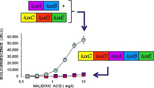 Upgrading bioluminescent bacterial bioreporter performance by splitting ...