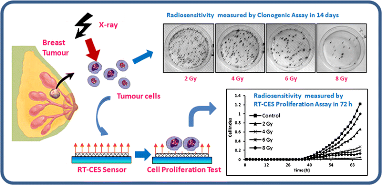 Real-time cell-impedance sensing assay as an alternative to clonogenic ...