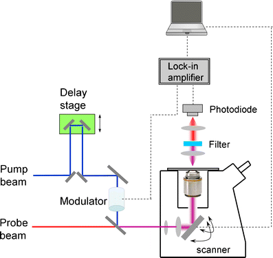 Pump-probe optical microscopy for imaging nonfluorescent chromophores ...