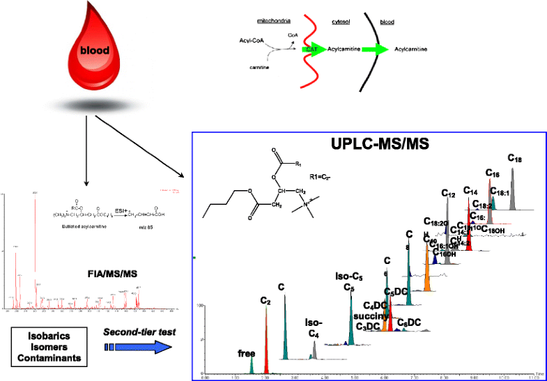 A rapid UPLC–MS/MS method for simultaneous separation of 48 acylcarnitines in dried blood spots ...