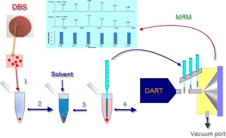Newborn screening of phenylketonuria using direct analysis in real time ...