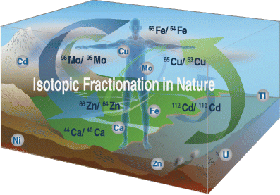 Heavy element stable isotope ratios : analytical approaches and ...