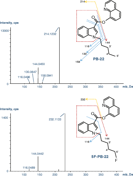 Metabolism of synthetic cannabinoids PB-22 and its 5-fluoro analog, 5F ...