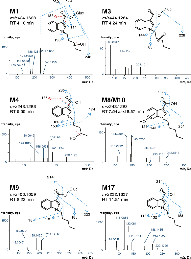 Metabolism of synthetic cannabinoids PB-22 and its 5-fluoro analog, 5F ...