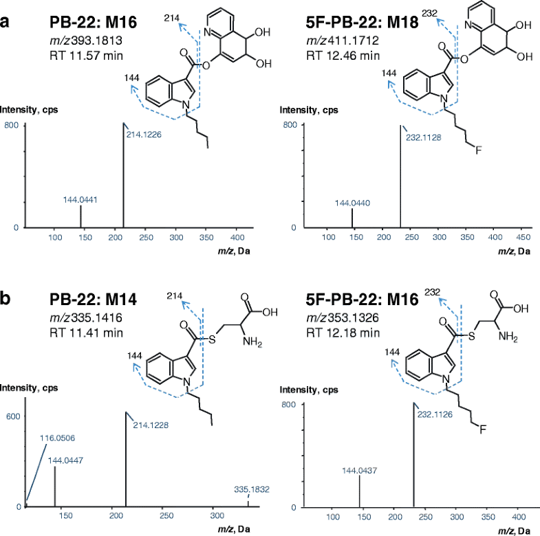Metabolism of synthetic cannabinoids PB-22 and its 5-fluoro analog, 5F ...