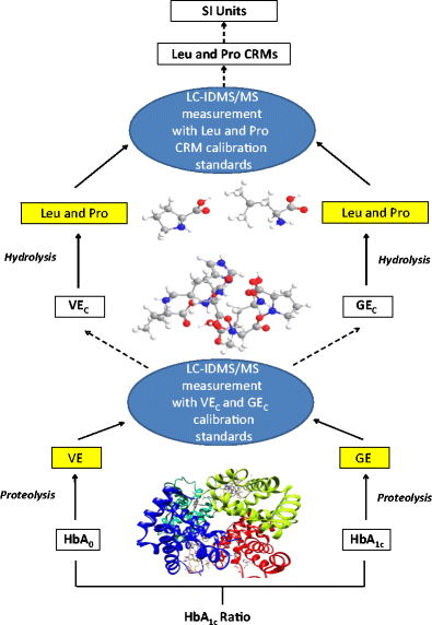 Achieving comparability with IFCC reference method for the measurement ...