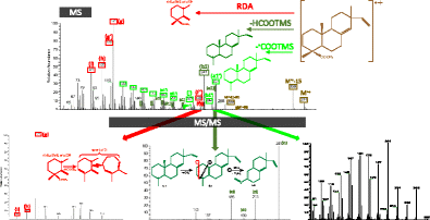 Analysis of diterpenic compounds by GC-MS/MS: contribution to the ...