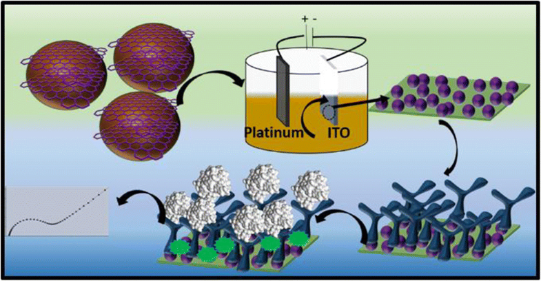 Graphene quantum dots-based nano-biointerface platform for food toxin ...