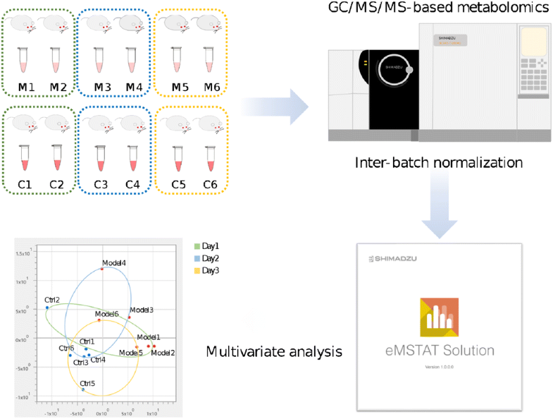 Optimal inter-batch normalization method for GC/MS/MS-based targeted metabolomics with special ...