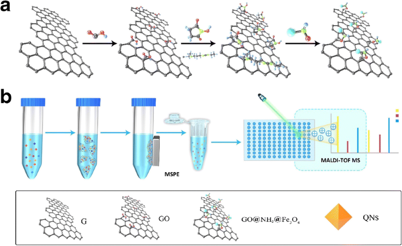 Graphene oxide composites for magnetic solid-phase extraction of twelve ...
