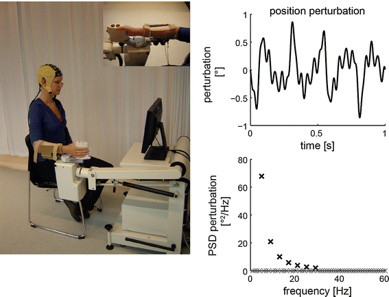 Poor motor function is associated with reduced sensory processing after ...