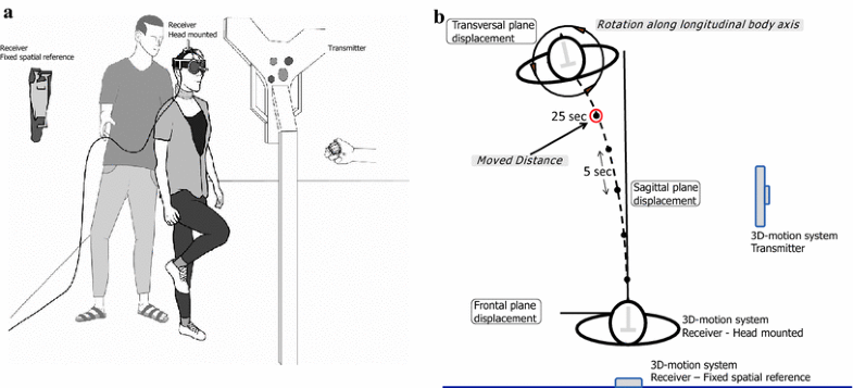 Disturbed cervical proprioception affects perception of spatial ...