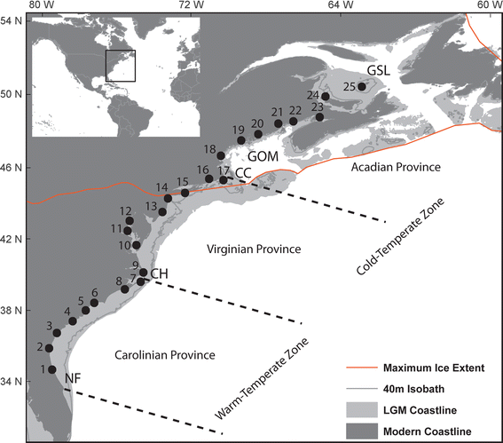 Regional differentiation and post-glacial expansion of the Atlantic ...