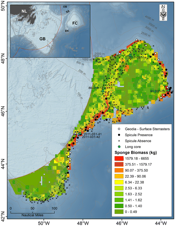 Ancient deep-sea sponge grounds on the Flemish Cap and Grand Bank ...