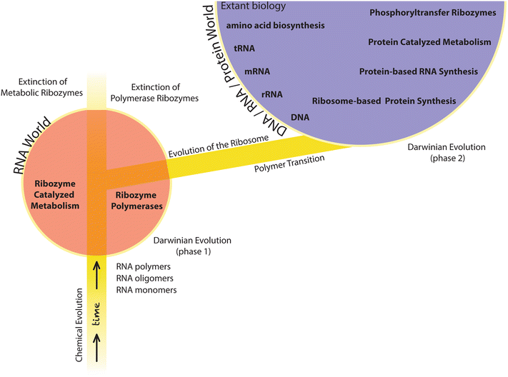 The Ribosome Challenge to the RNA World | SpringerLink