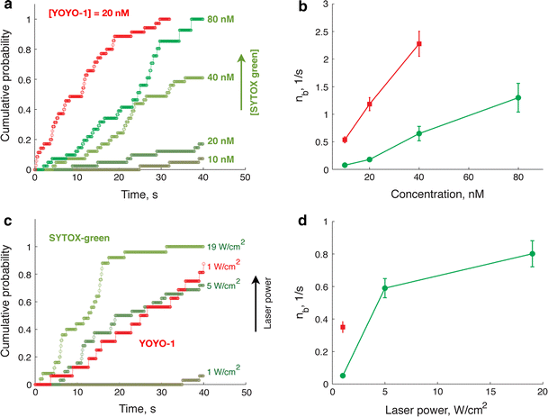 The fluorescence properties and binding mechanism of SYTOX green, a ...