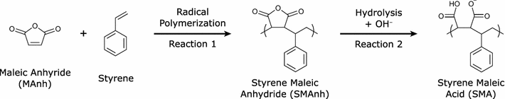 The styrene–maleic acid copolymer: a versatile tool in membrane ...
