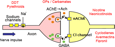 Voltage-gated sodium channels as targets for pyrethroid insecticides ...