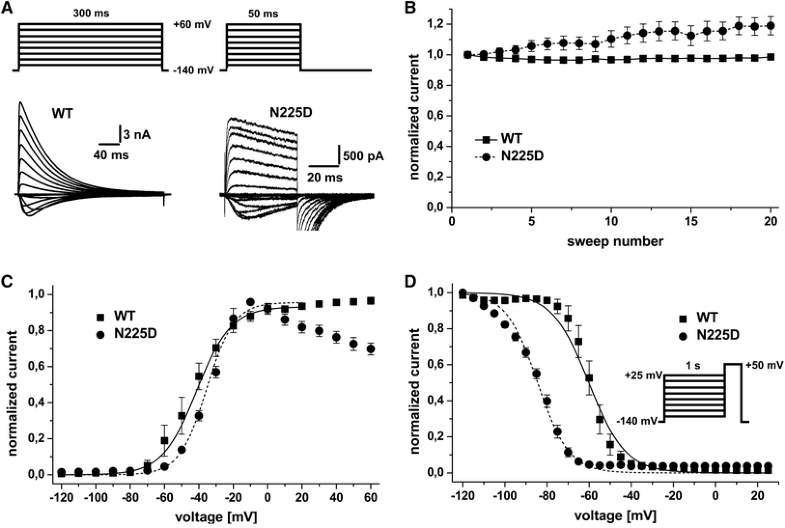 Mutagenesis of the NaChBac sodium channel discloses a functional role ...