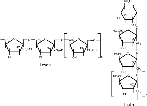 Structure/function relationship of homopolysaccharide producing ...