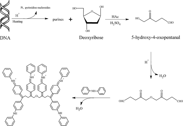 A simplified diphenylamine colorimetric method for growth ...