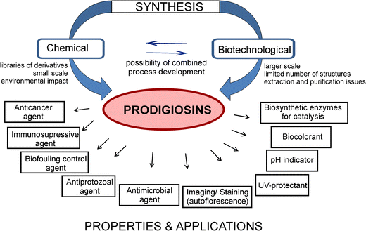 Properties and applications of undecylprodigiosin and other bacterial ...