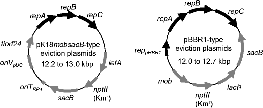 Effective removal of a range of Ti/Ri plasmids using a pBBR1-type ...