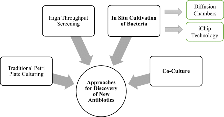 Antibiotic discovery: combining isolation chip (iChip) technology and ...