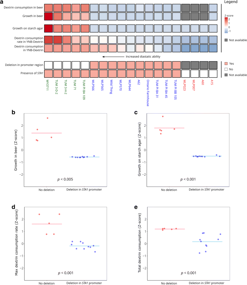 A deletion in the STA1 promoter determines maltotriose and starch ...