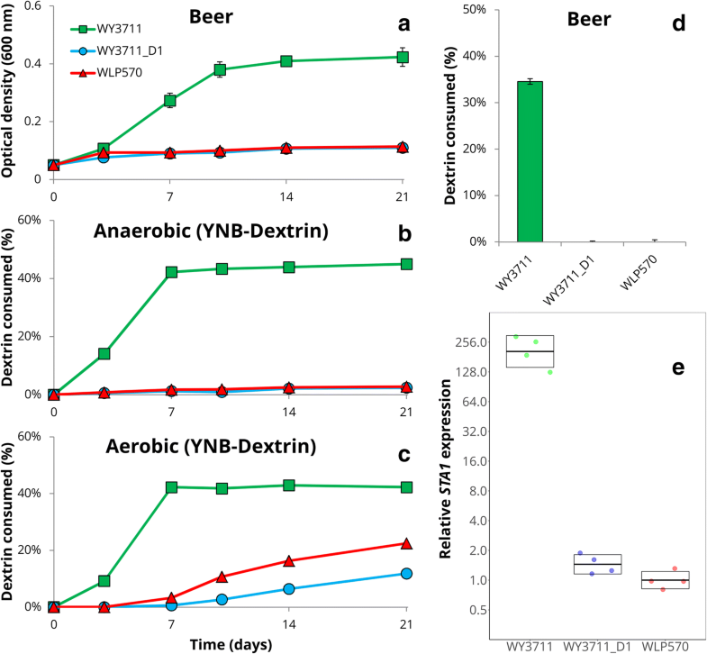 A deletion in the STA1 promoter determines maltotriose and starch ...