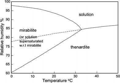 Crystallisation of sodium sulfate: supersaturation and metastable ...