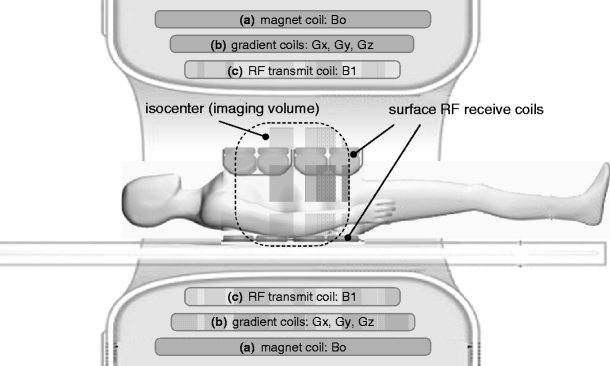 Magnetic resonance imaging methodology | SpringerLink