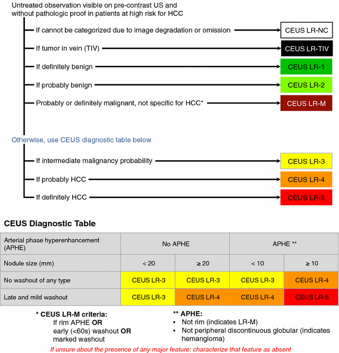 CEUS LI-RADS: algorithm, implementation, and key differences from CT ...