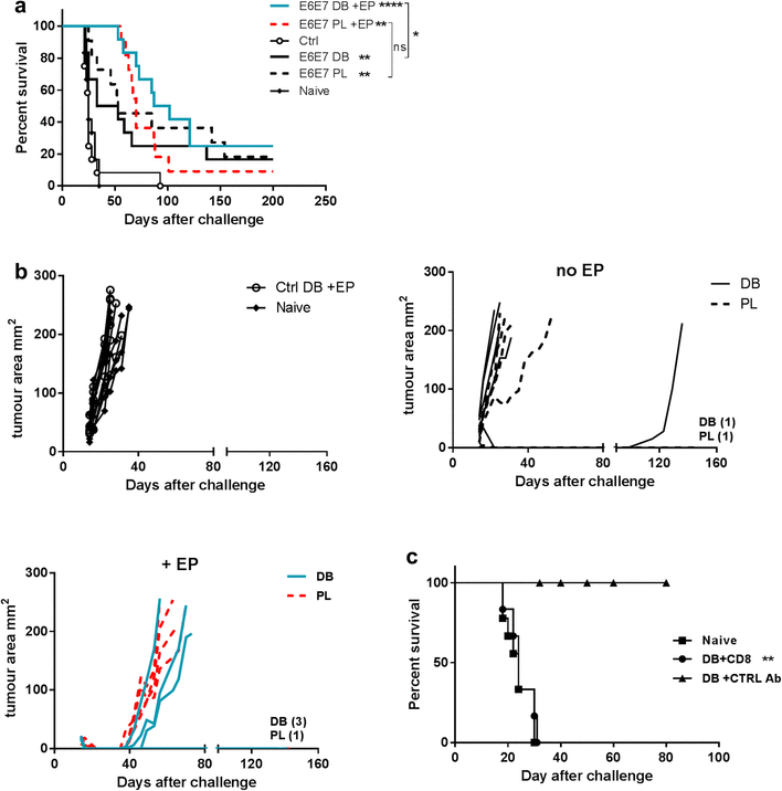 Linear doggybone DNA vaccine induces similar immunological responses to ...